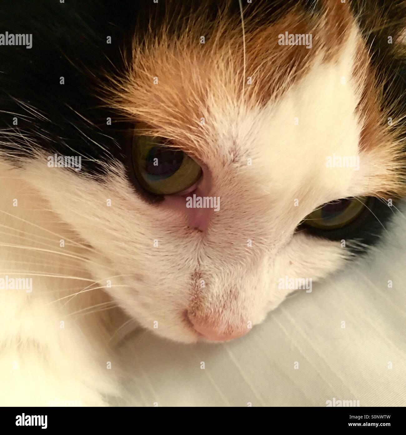 Precious face hi-res stock photography and images - Alamy