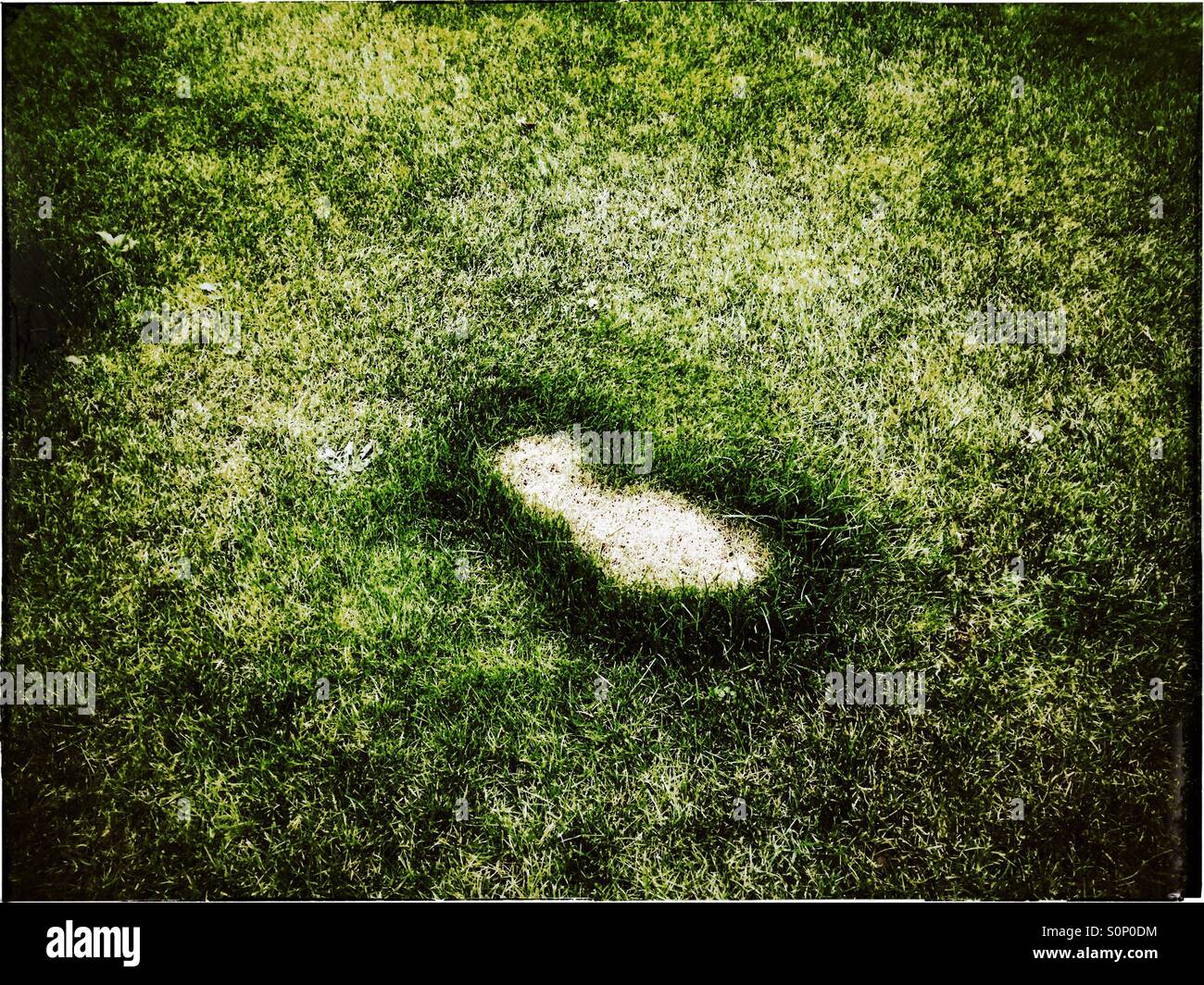 Footstep Stock Photos & Footstep Stock Images - Alamy