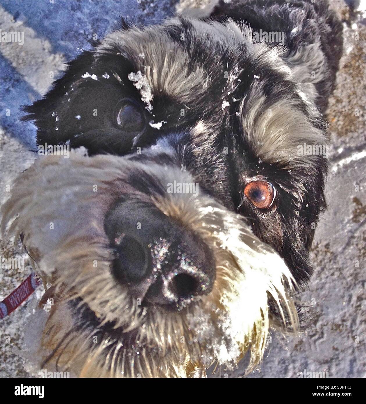 Lovey hi-res stock photography and images - Alamy