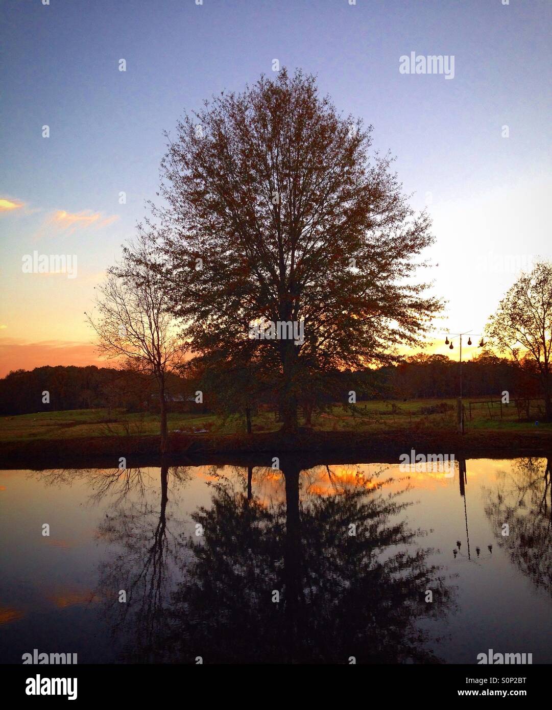 Fall tree and reflection hi-res stock photography and images - Alamy