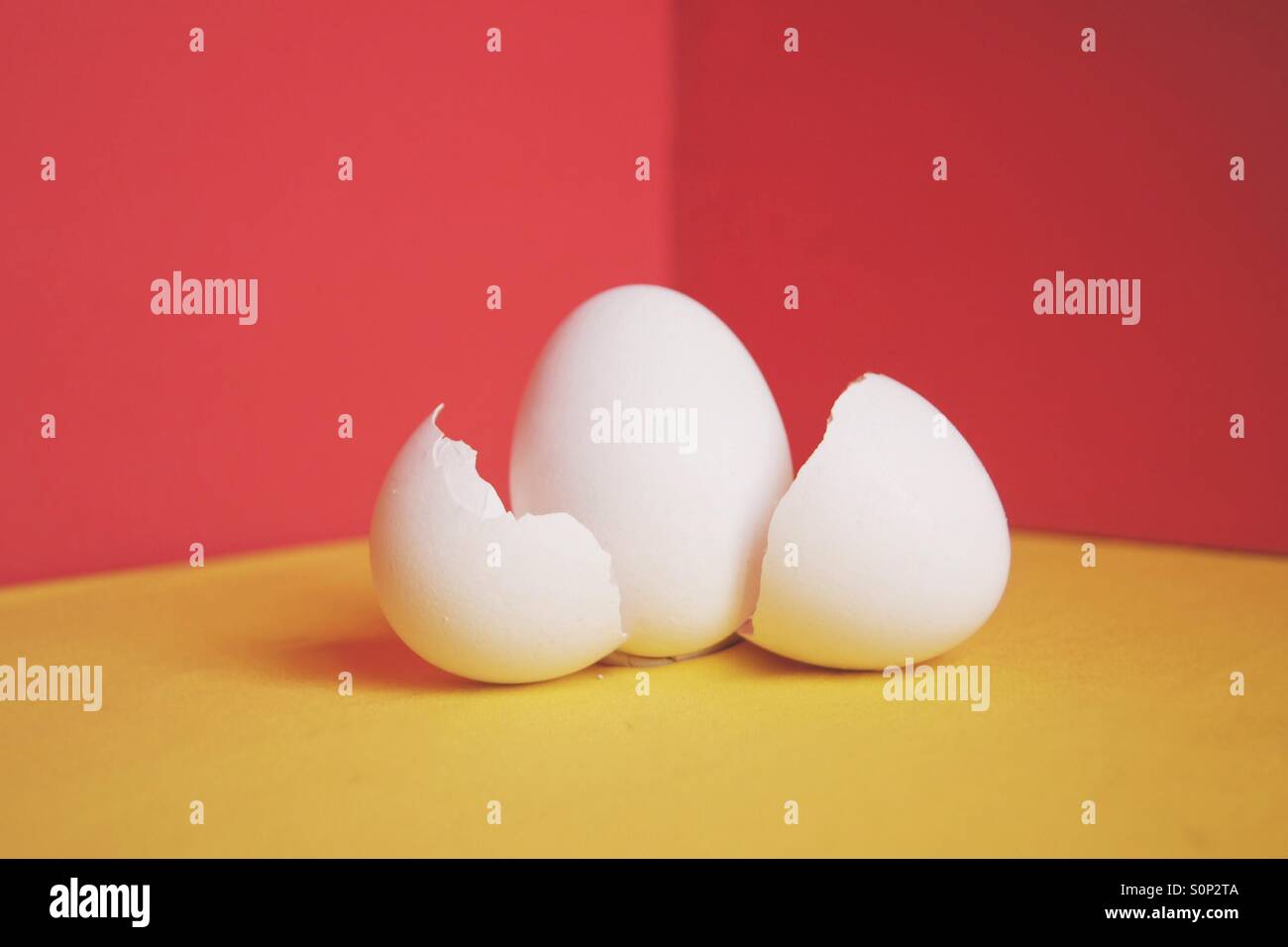Hatching new ideas Stock Photo - Alamy