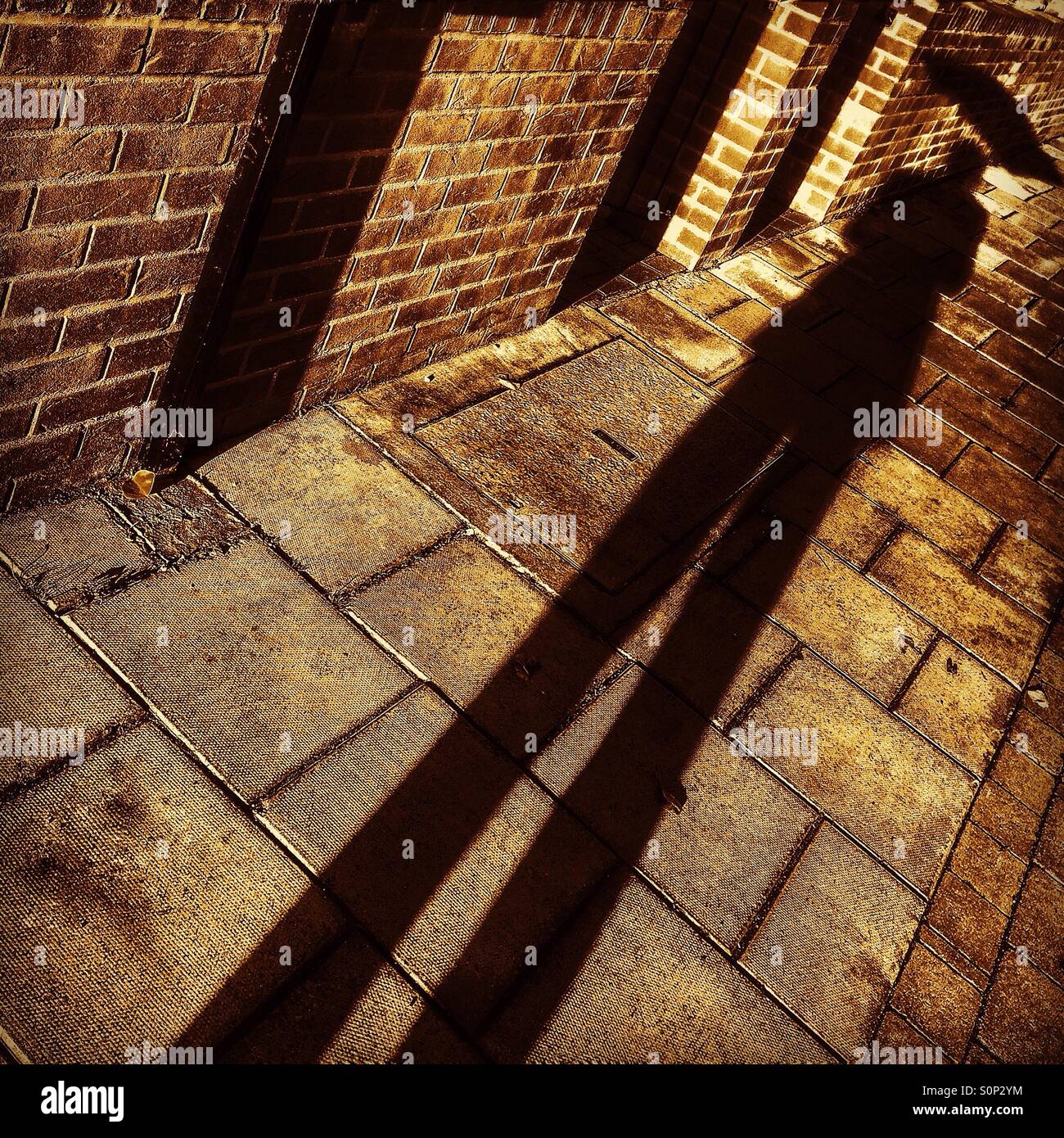 Shadow pavement sidewalk bricks hi-res stock photography and images - Alamy