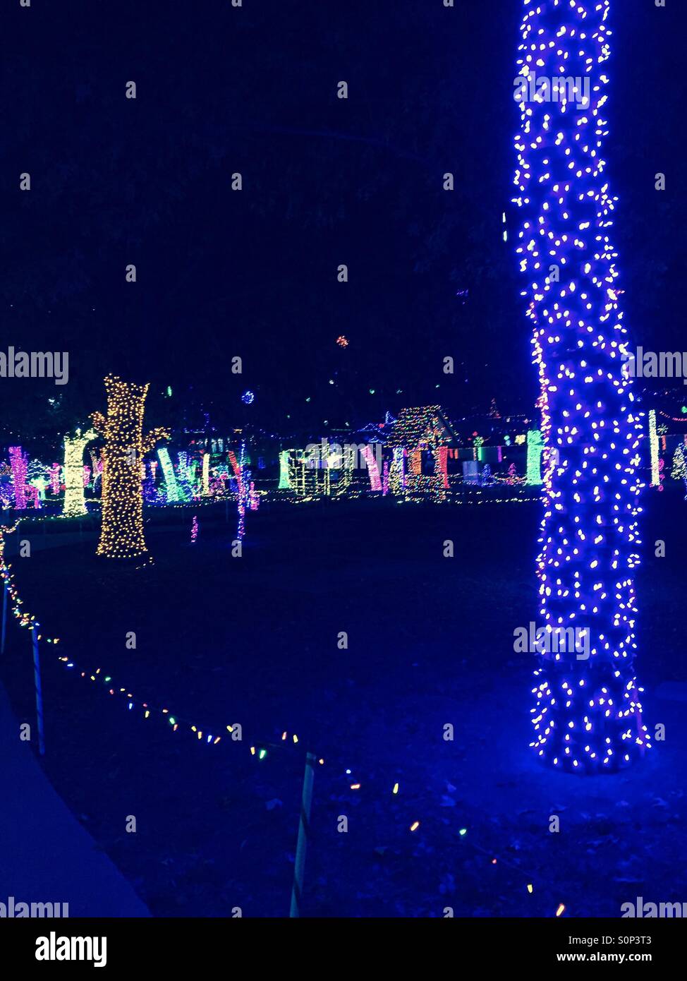 Lights forest hi-res stock photography and images - Alamy