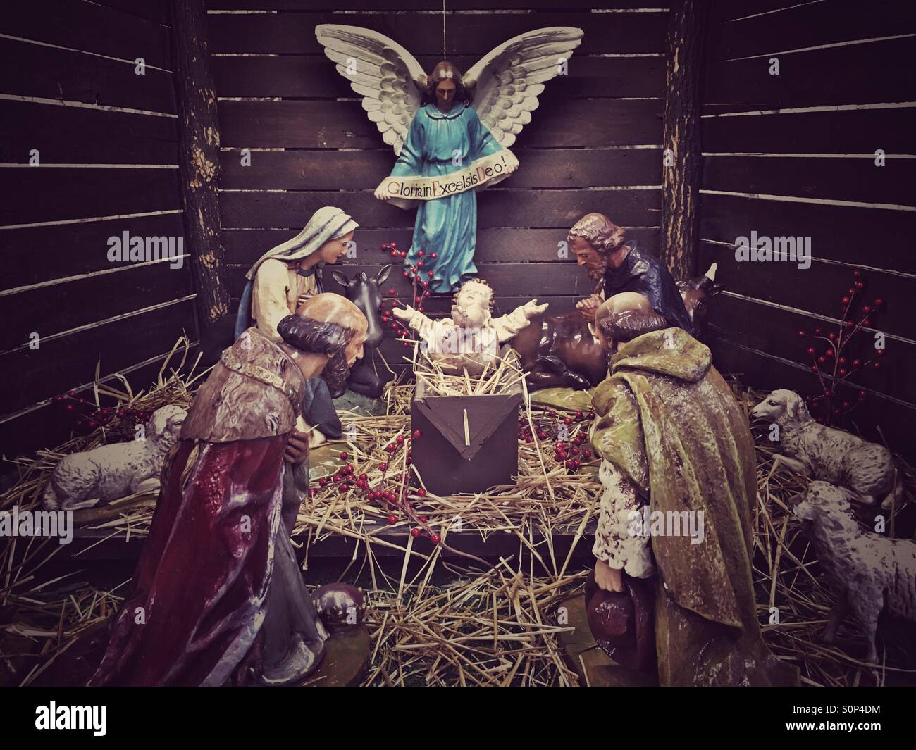 Nativity sheep hi-res stock photography and images - Alamy
