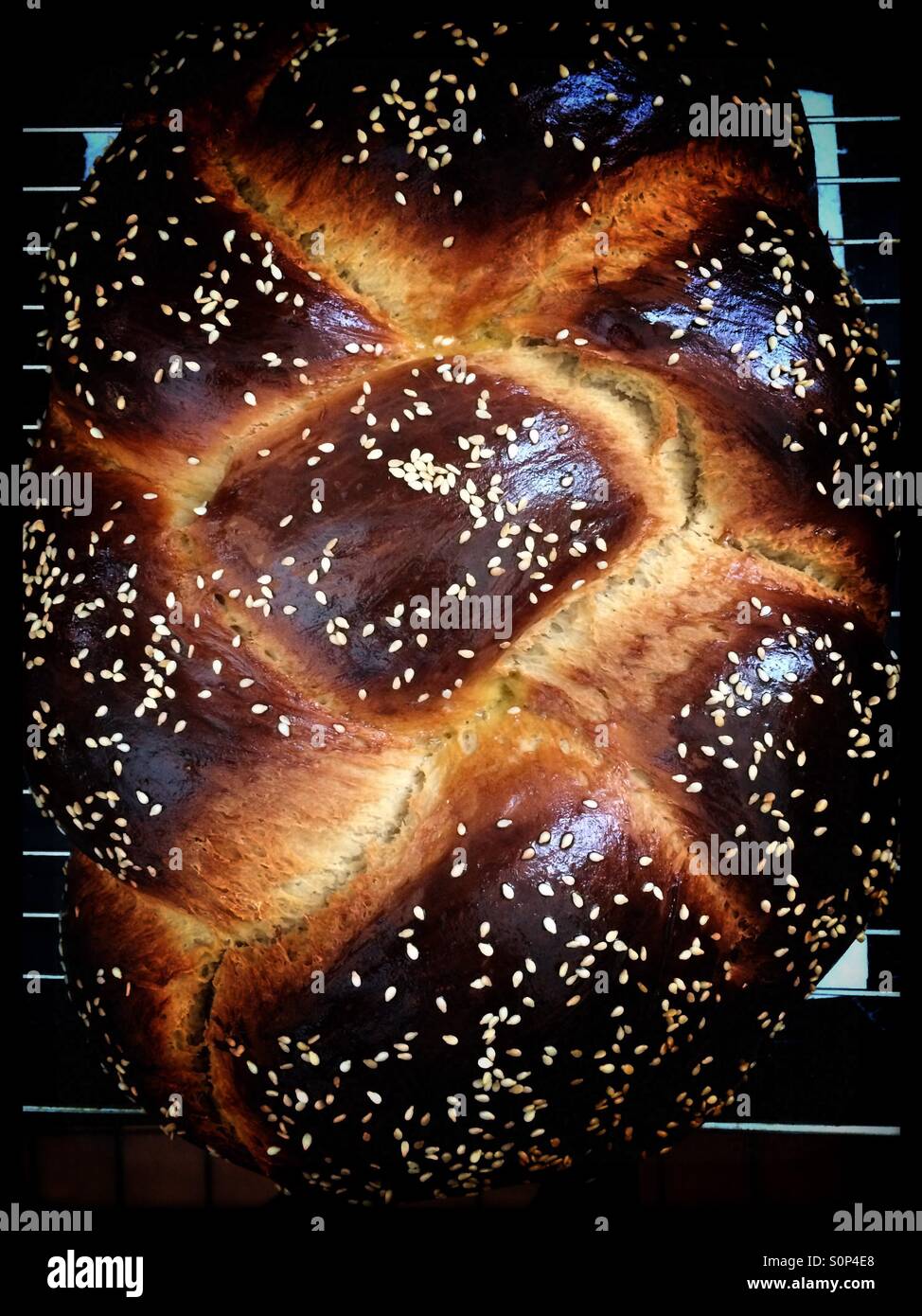 Kitka hi-res stock photography and images - Alamy