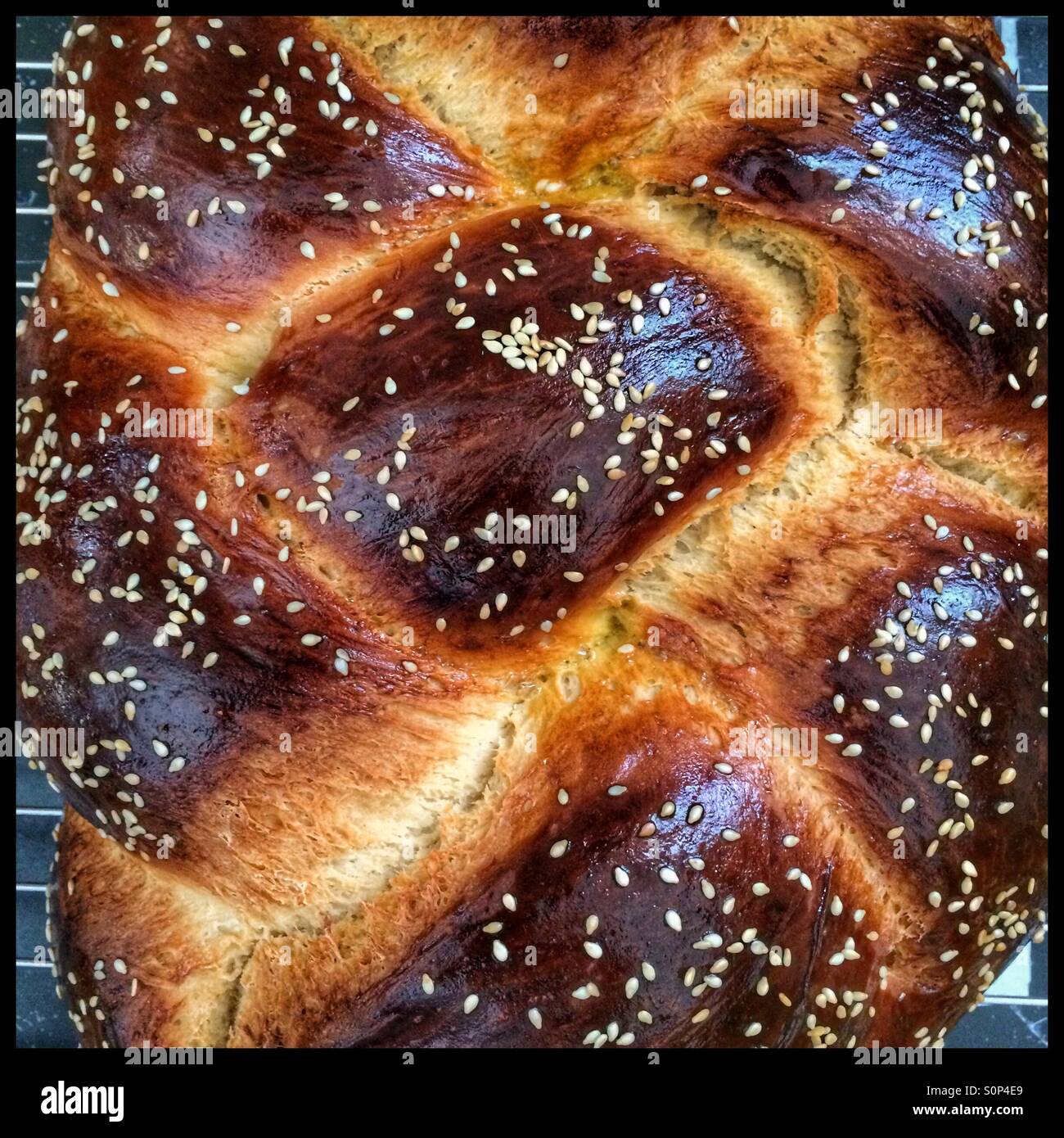 Baked kitka loaf with sesame seeds Stock Photo - Alamy