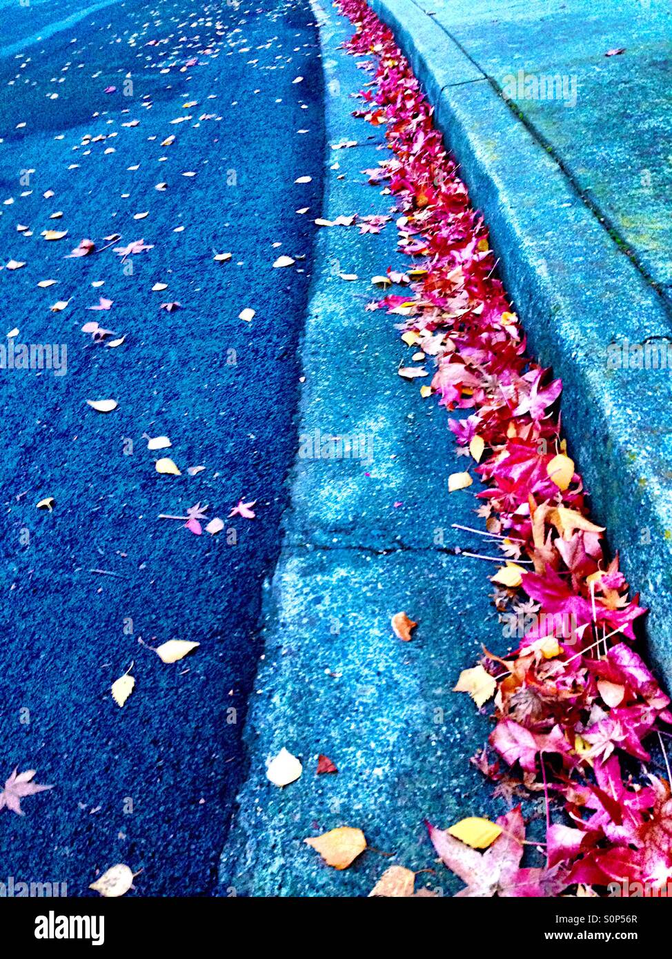 Fall on curb hi-res stock photography and images - Alamy