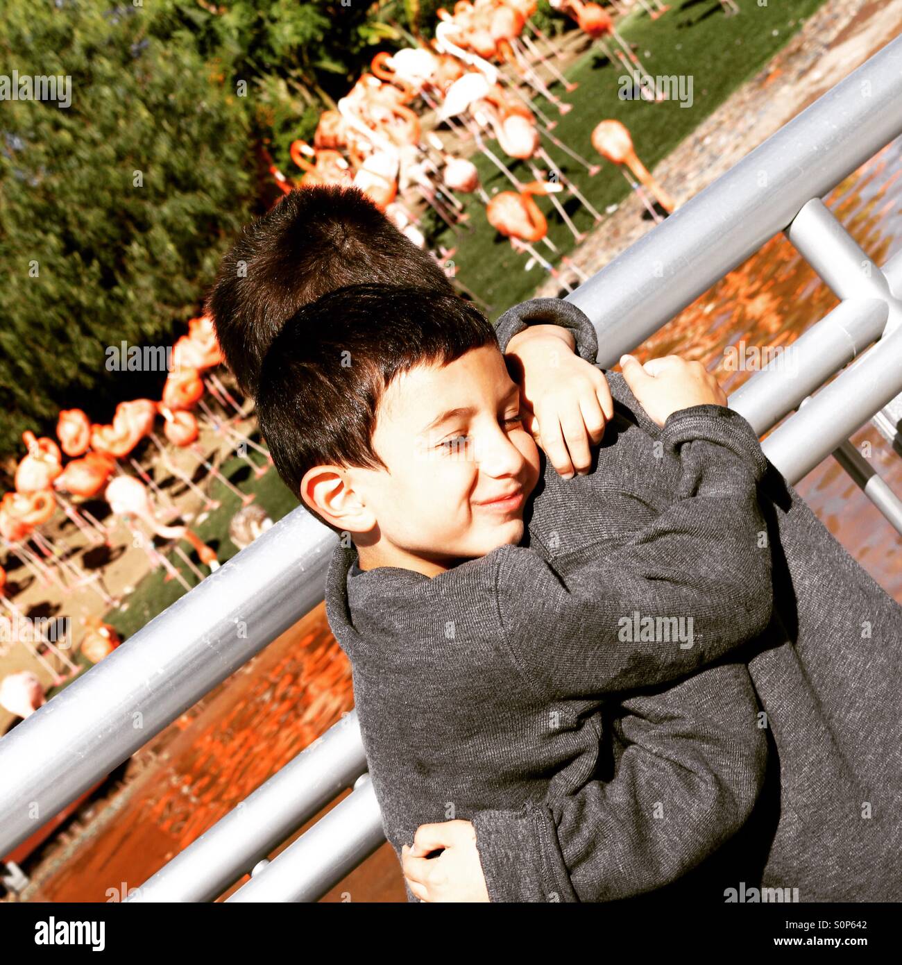 Brothers Hug High Resolution Stock Photography and Images - Alamy