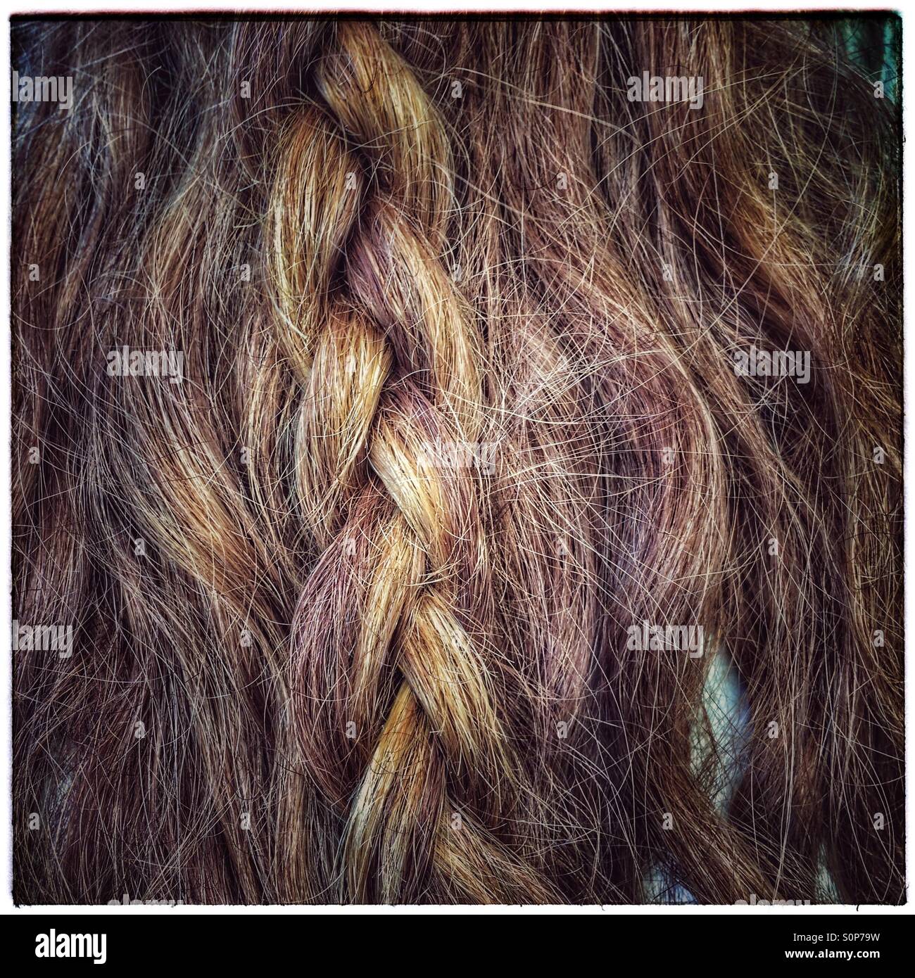 Platted hair hi-res stock photography and images - Alamy