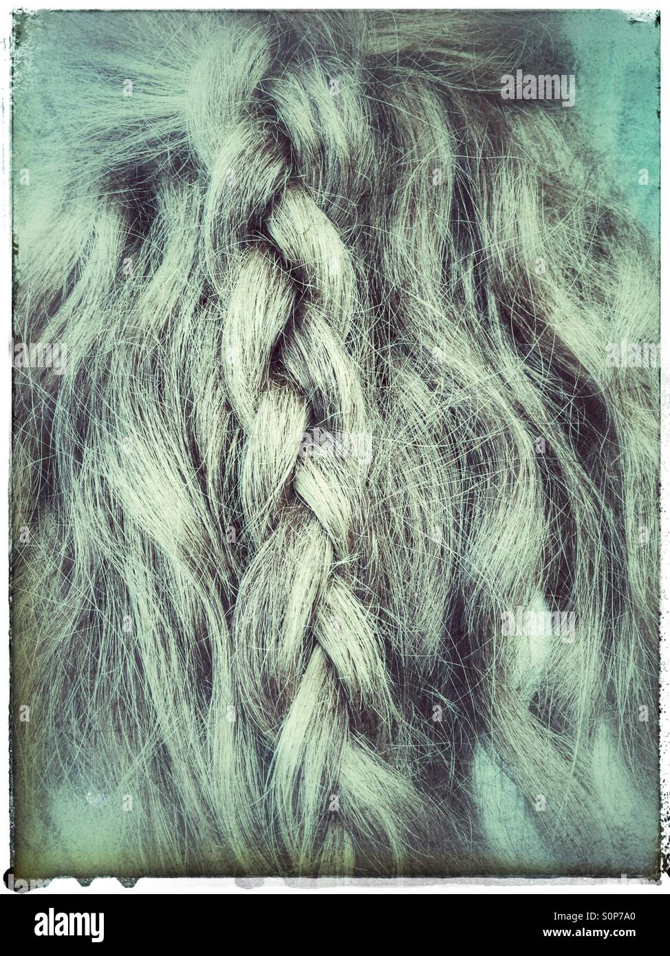 Plat in long hair Stock Photo - Alamy