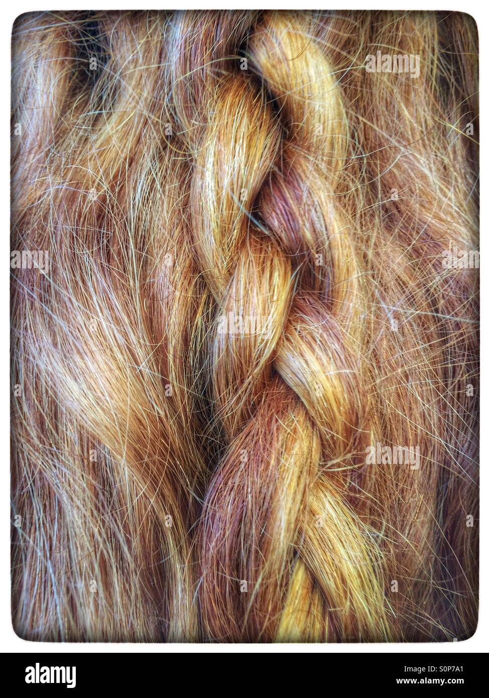 Platted hair hi-res stock photography and images - Alamy