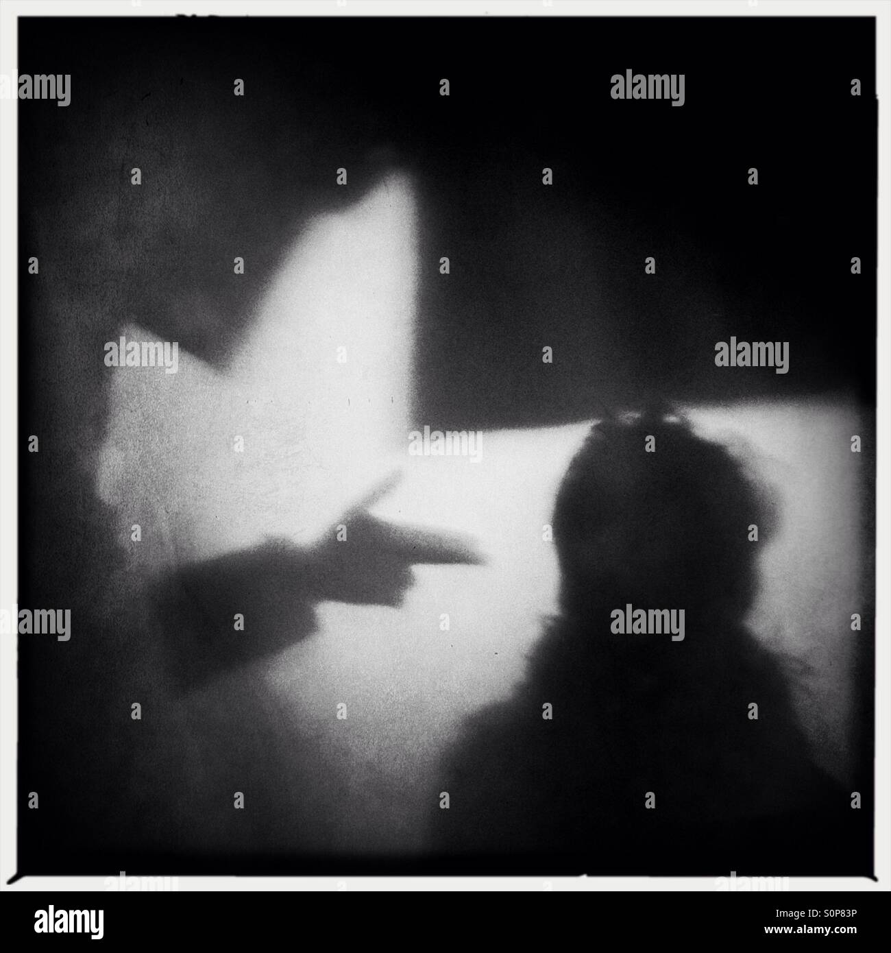 Shadow of two men Stock Photo - Alamy