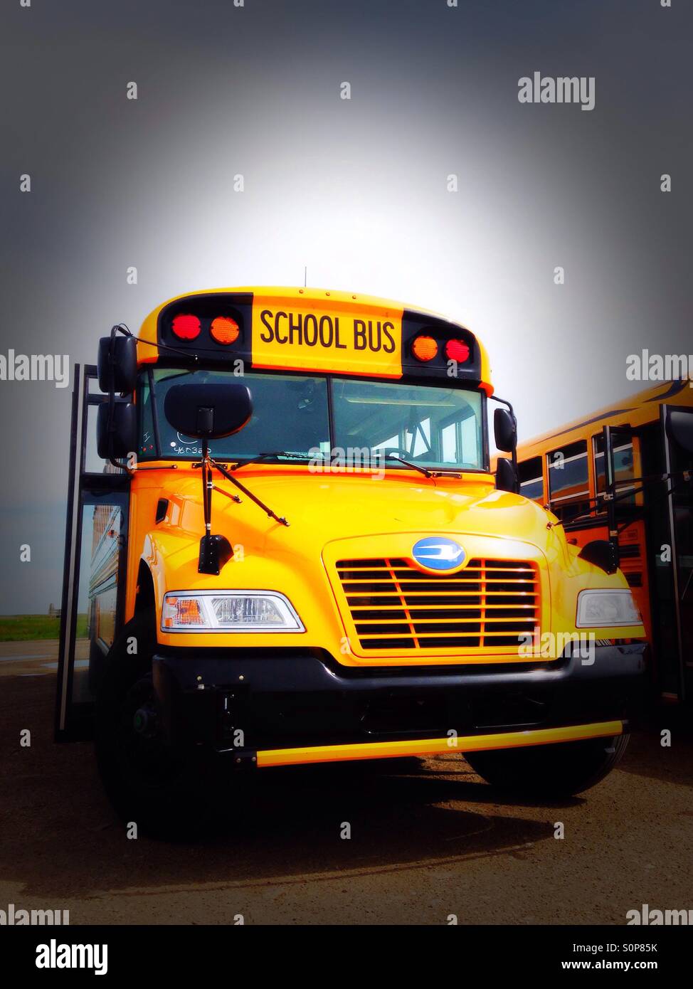 Us school bus hi-res stock photography and images - Alamy