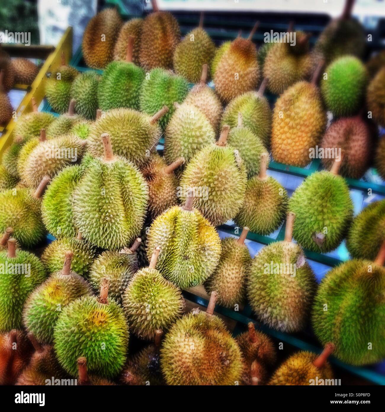 Pile durian hi-res stock photography and images - Alamy