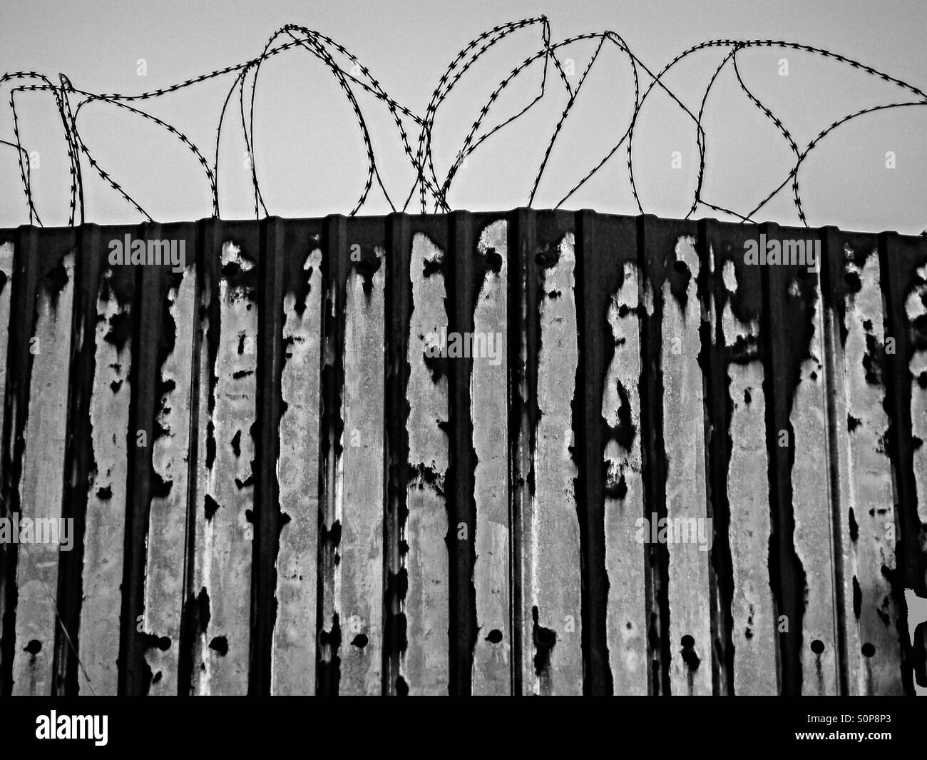 Razor wire on metal perimeter barrier Stock Photo - Alamy