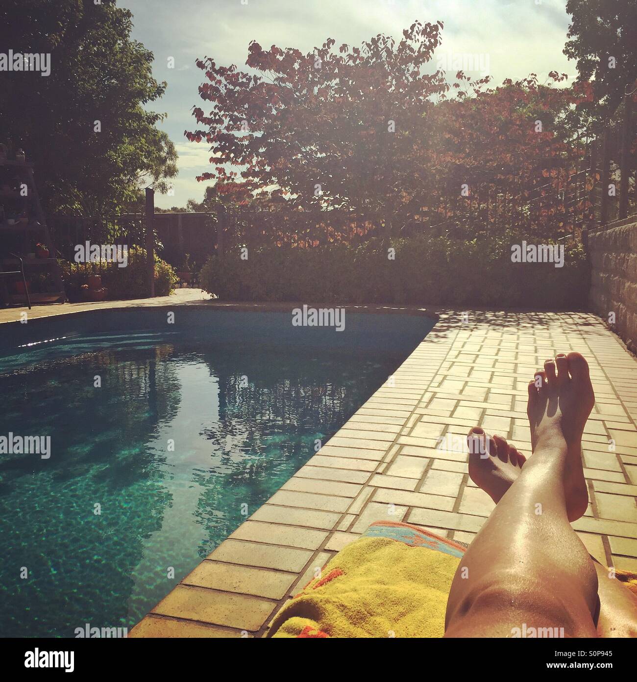 Summer poolside, Australia Stock Photo - Alamy