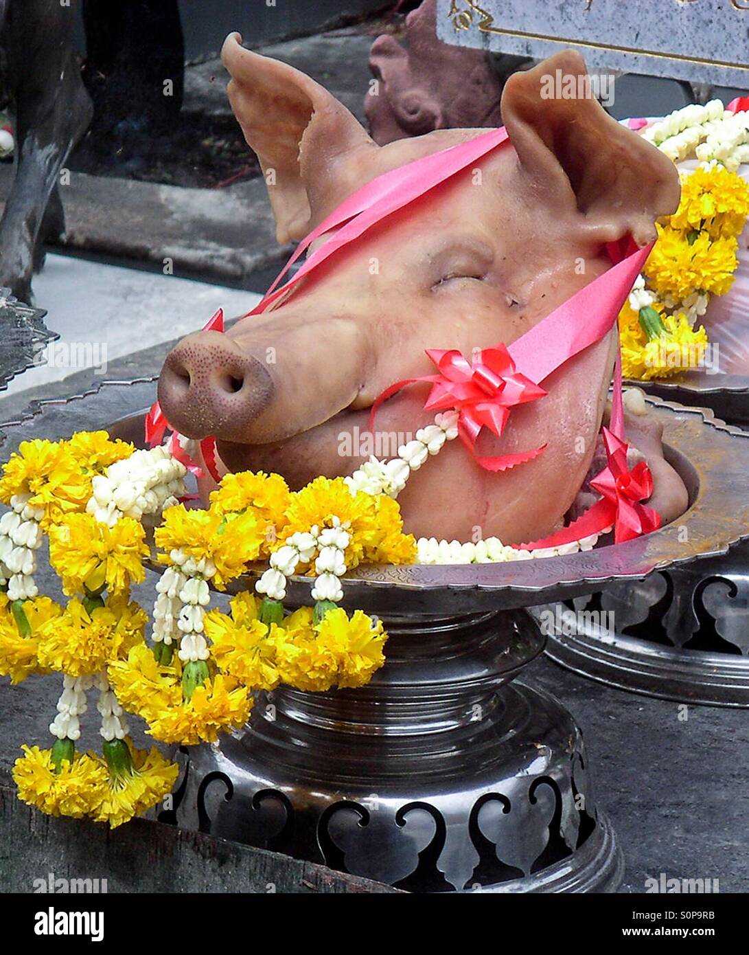 Pig head feast hi-res stock photography and images - Alamy