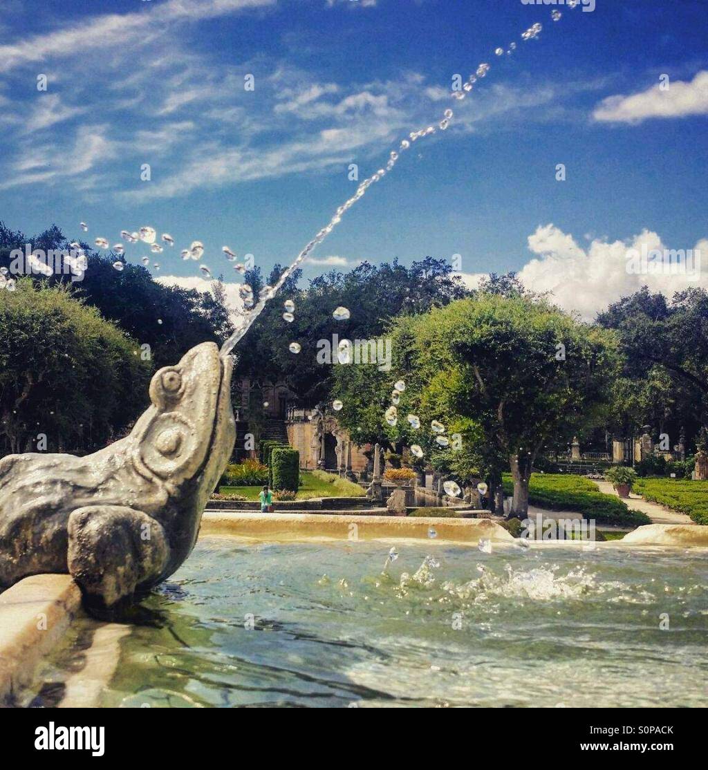 Flog hi-res stock photography and images - Alamy