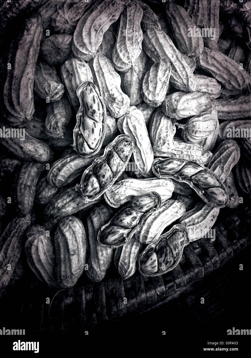 Roasted monkey nuts Stock Photo - Alamy