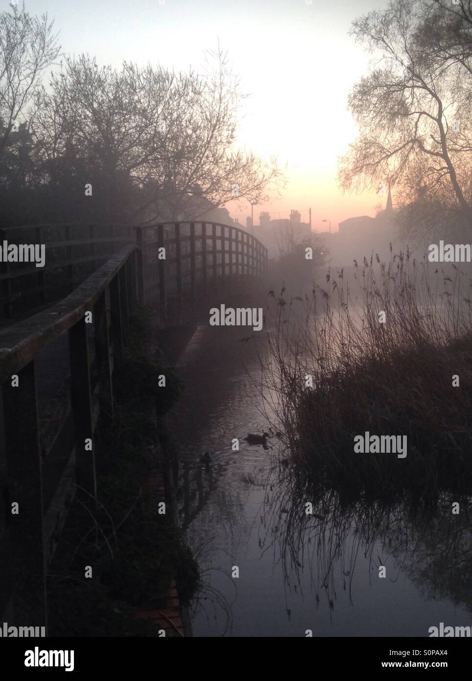 Reflection mist hi-res stock photography and images - Alamy