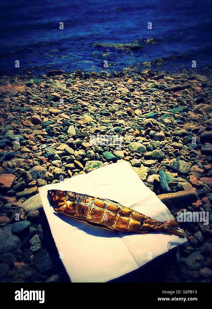 Eating smoked fish on the shores of lake Baikal, Russia Stock Photo - Alamy