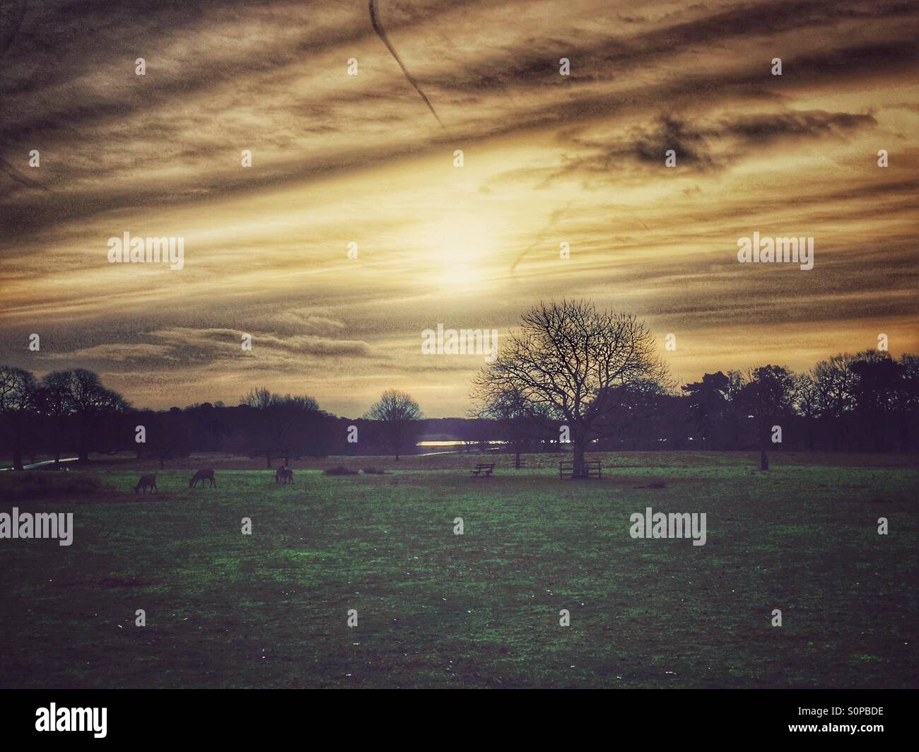 Haunted grass hi-res stock photography and images - Alamy