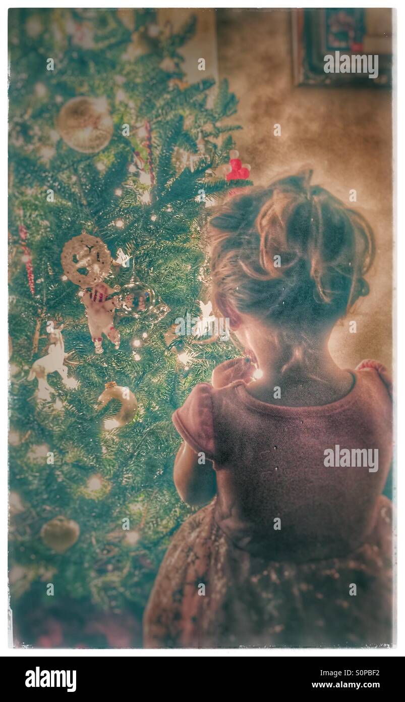 Child looking up at tree hi-res stock photography and images - Alamy