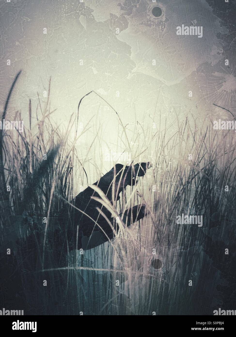 Lost hand hi-res stock photography and images - Alamy