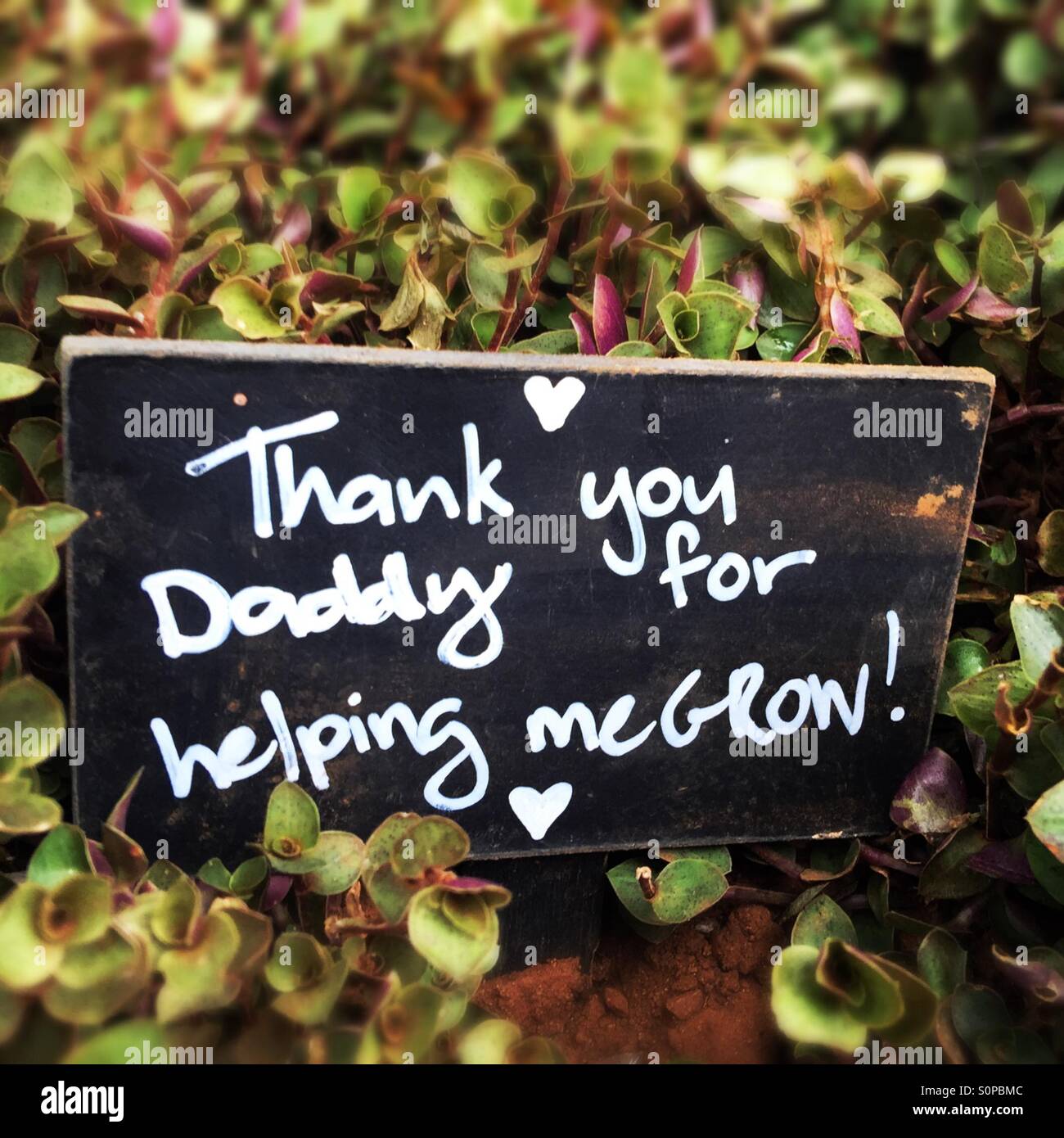 Thank you dad hi-res stock photography and images - Alamy