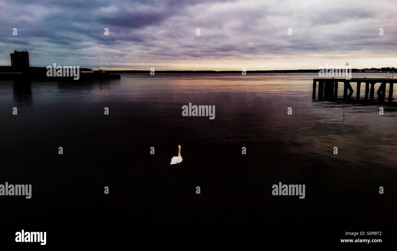 Swan at castle hi-res stock photography and images - Alamy