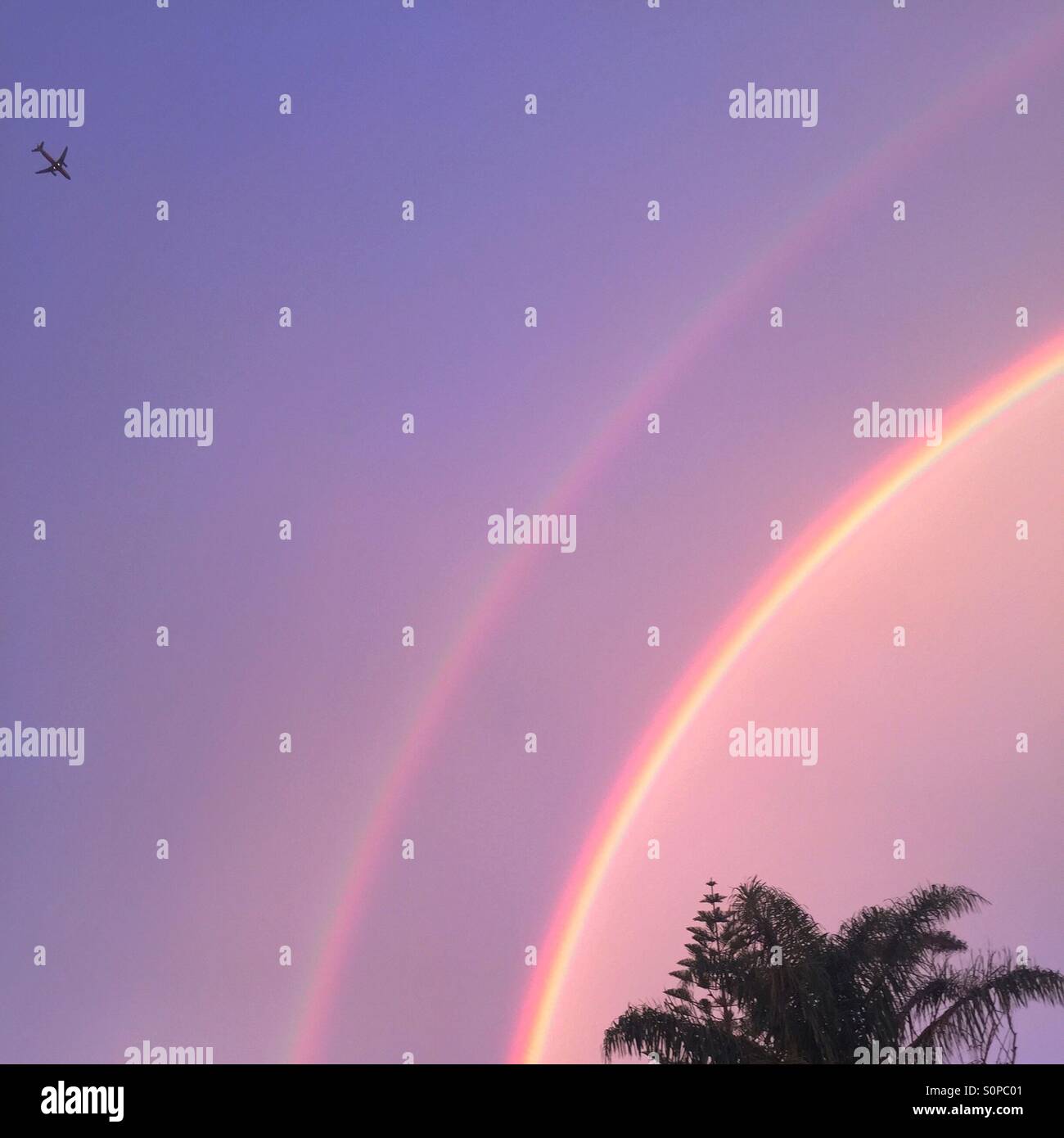 Violet of the sky hi-res stock photography and images - Alamy