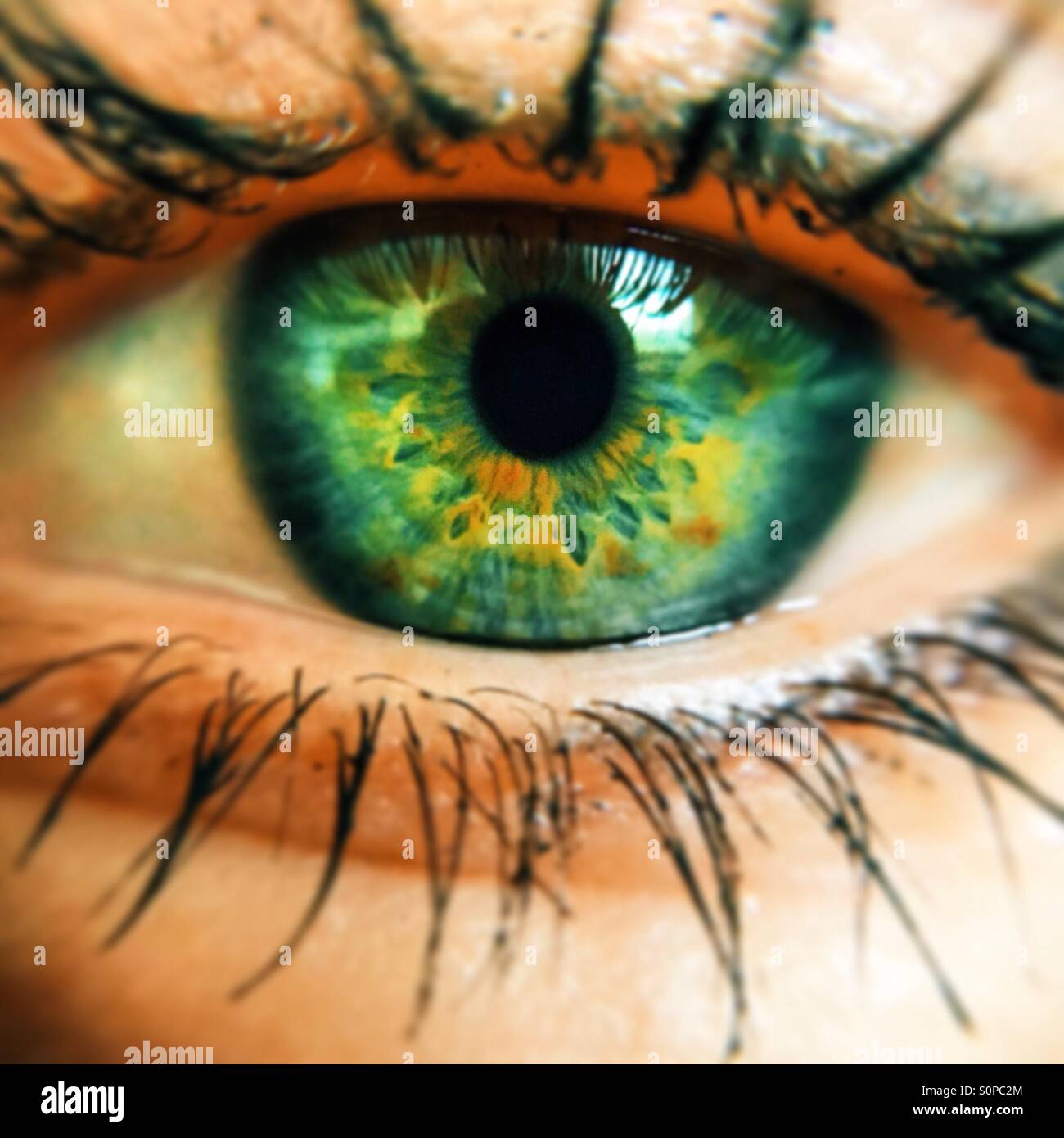 Very captivating eyes hi-res stock photography and images - Alamy