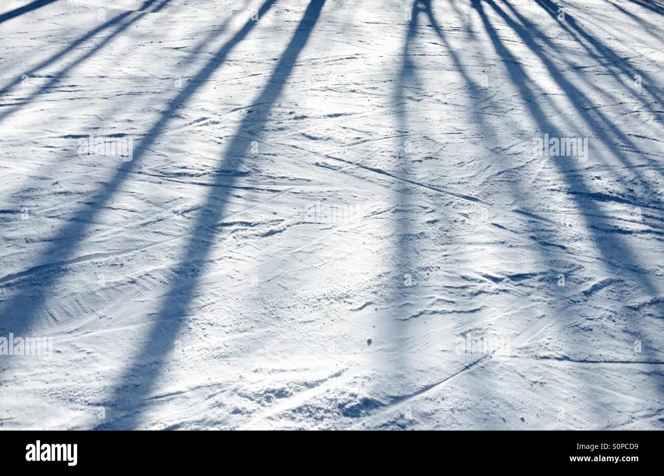 Cold shadows hi-res stock photography and images - Alamy