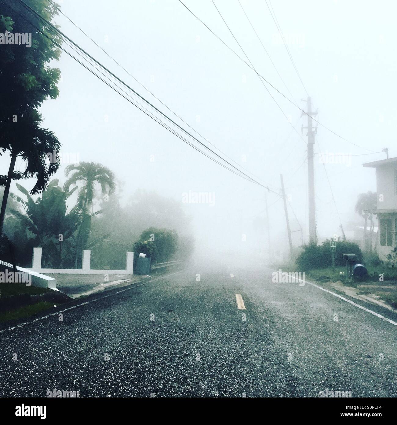 Mist street hi-res stock photography and images - Alamy