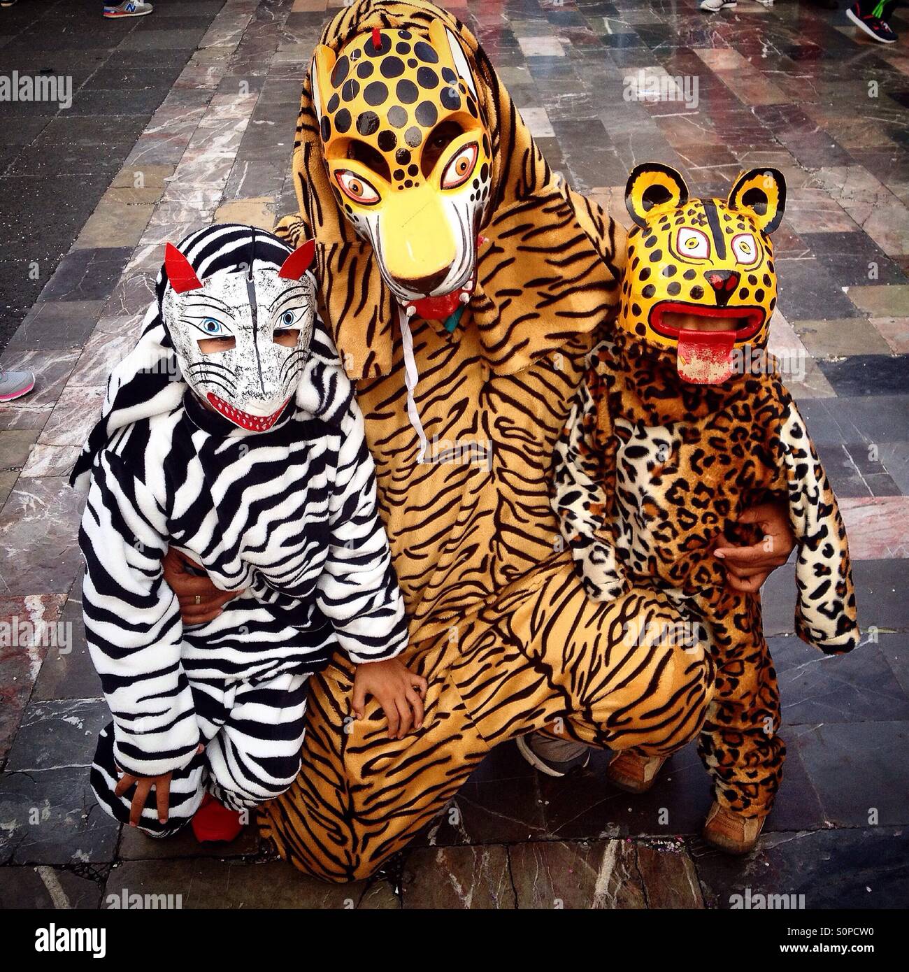 Children dressed as animals hi-res stock photography and images - Alamy