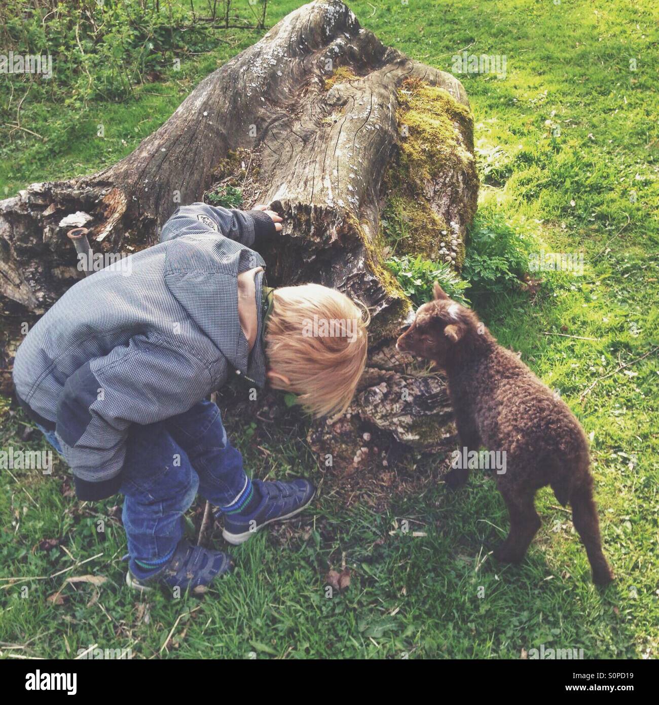 Boy inside tree hi-res stock photography and images - Alamy