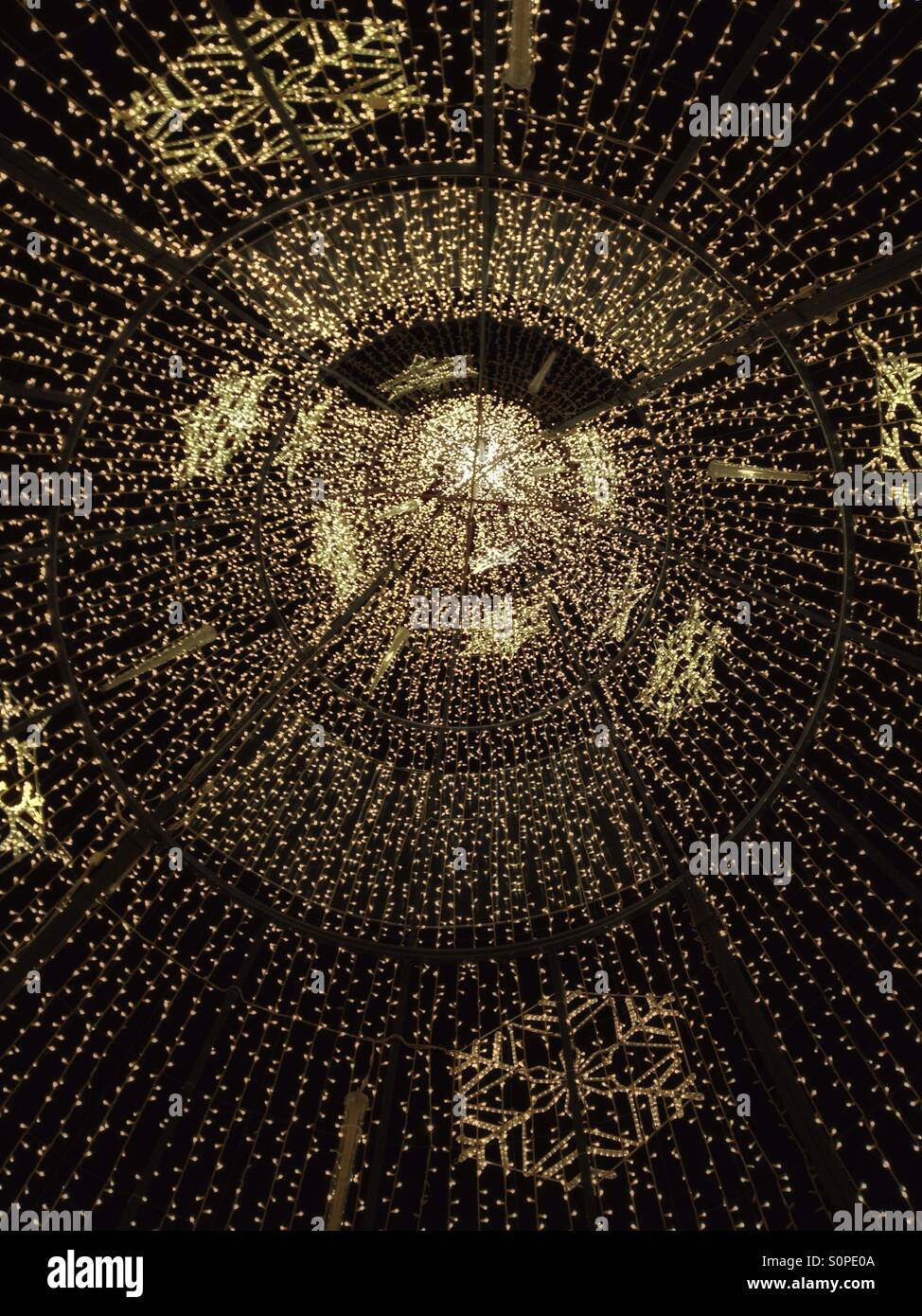 Inside a Christmas tree Stock Photo - Alamy