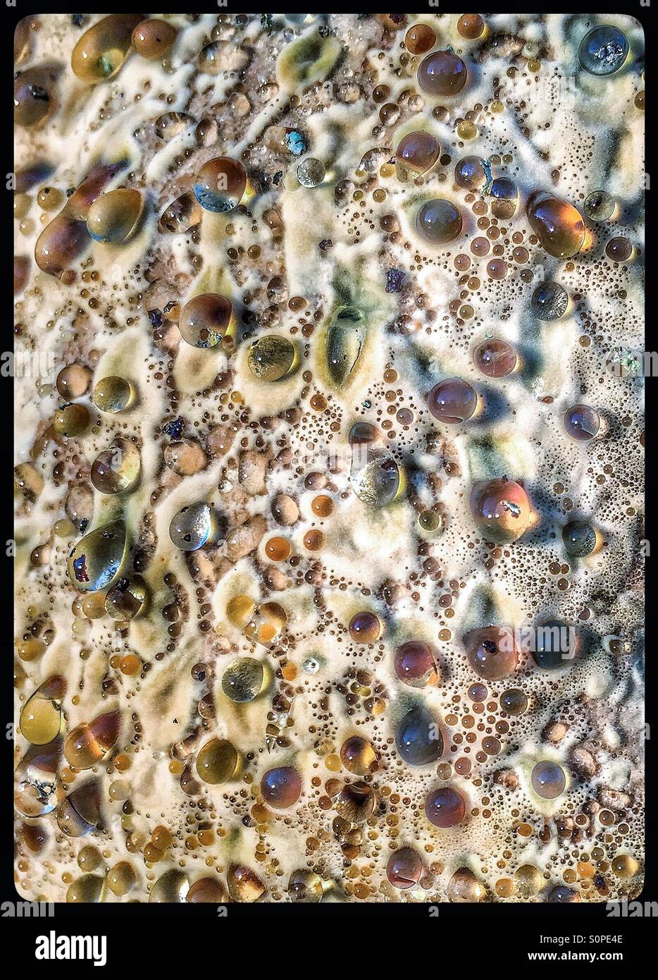 Pine resin hi-res stock photography and images - Alamy