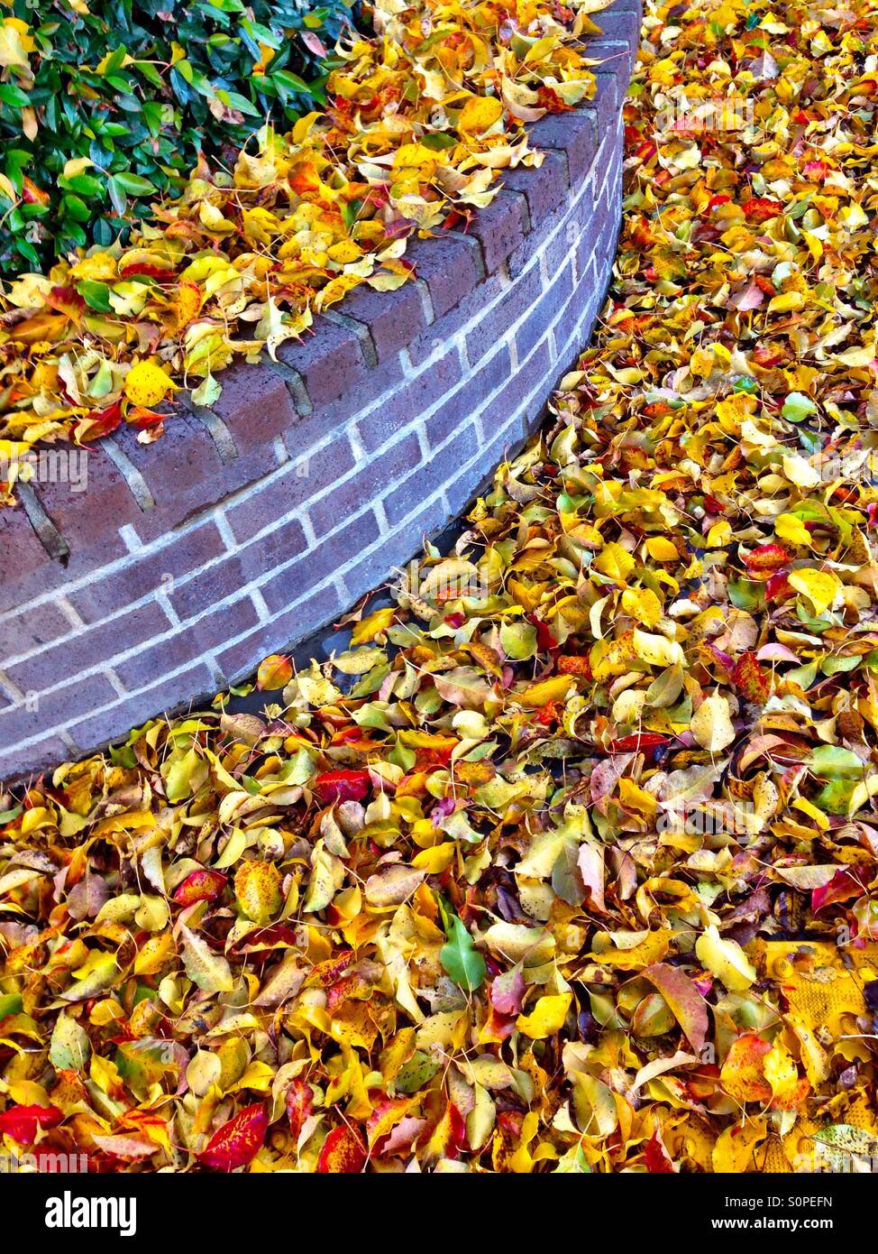 Curved brick wall hi-res stock photography and images - Alamy