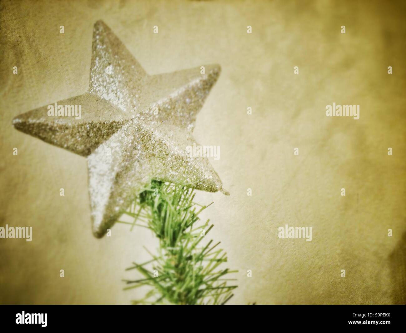Star on a tree hi-res stock photography and images - Alamy