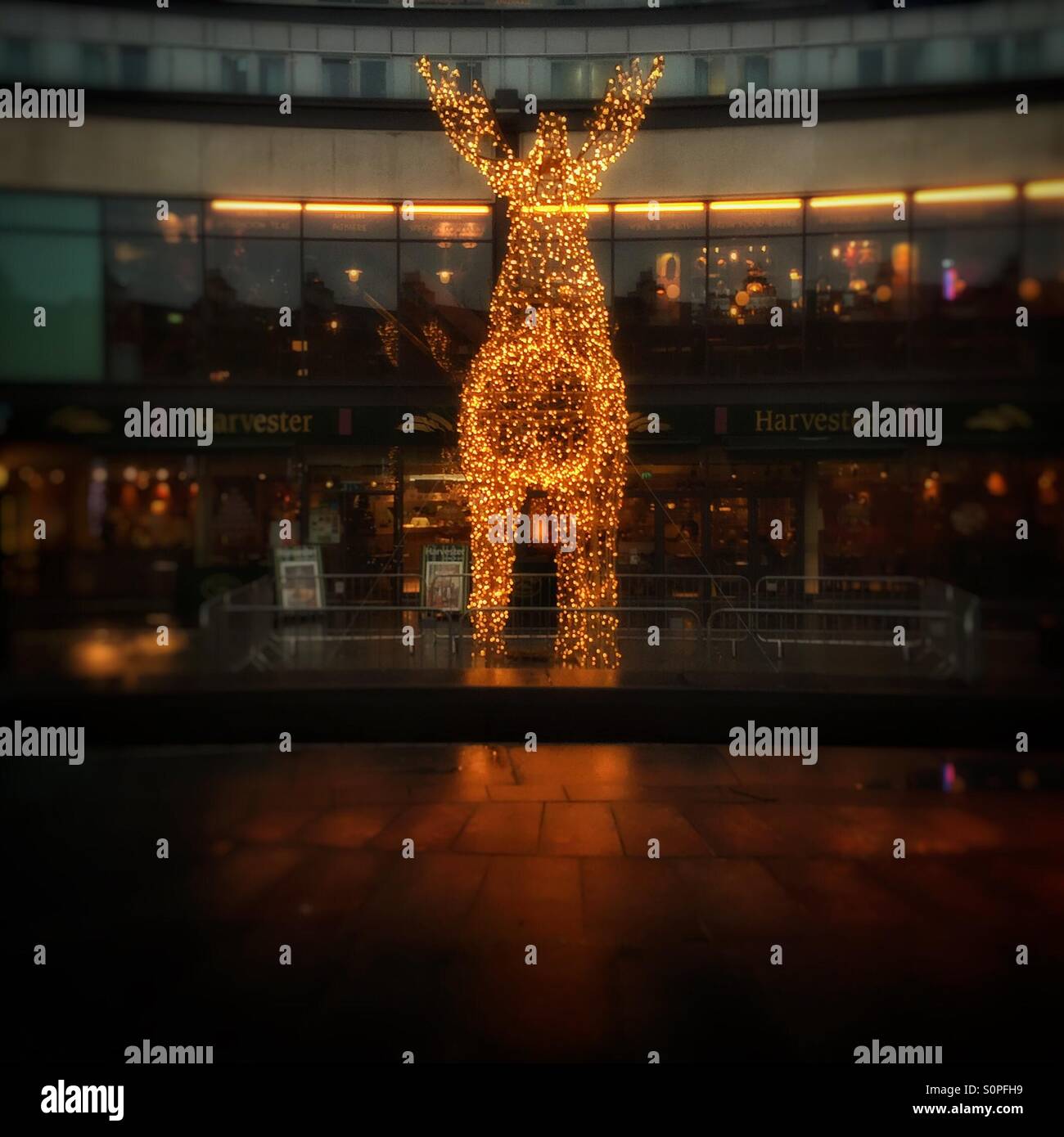 Nottingham Christmas Lights Decorations Reindeer Stock Photo - Alamy