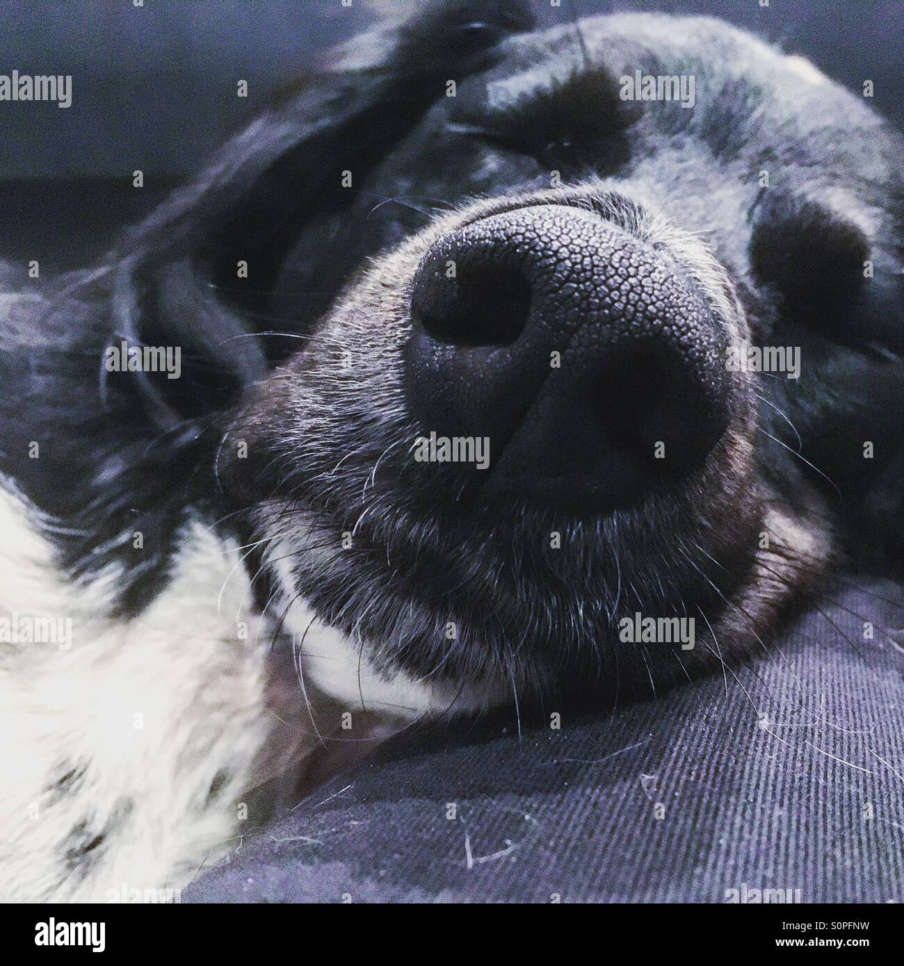 Quiet sleepy hi-res stock photography and images - Alamy