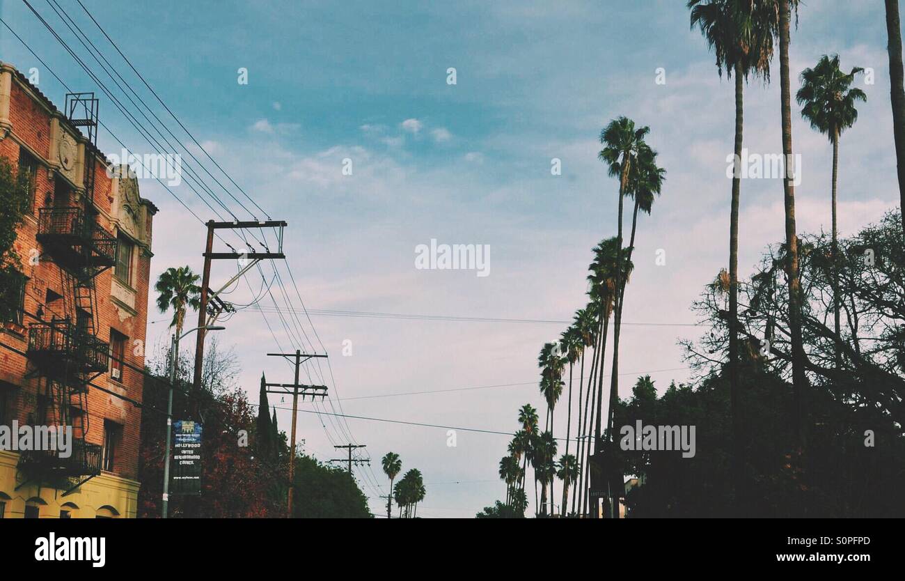 La cali hi-res stock photography and images - Alamy