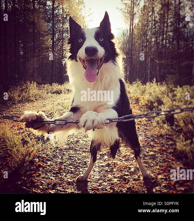 Best stop hi-res stock photography and images - Alamy