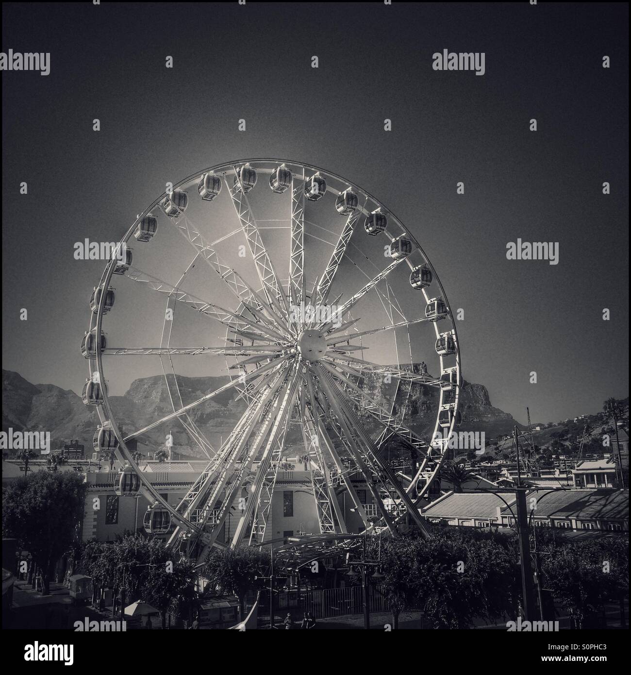 Wheel of excellence in V&A Waterfront, with Table Mountain in ...