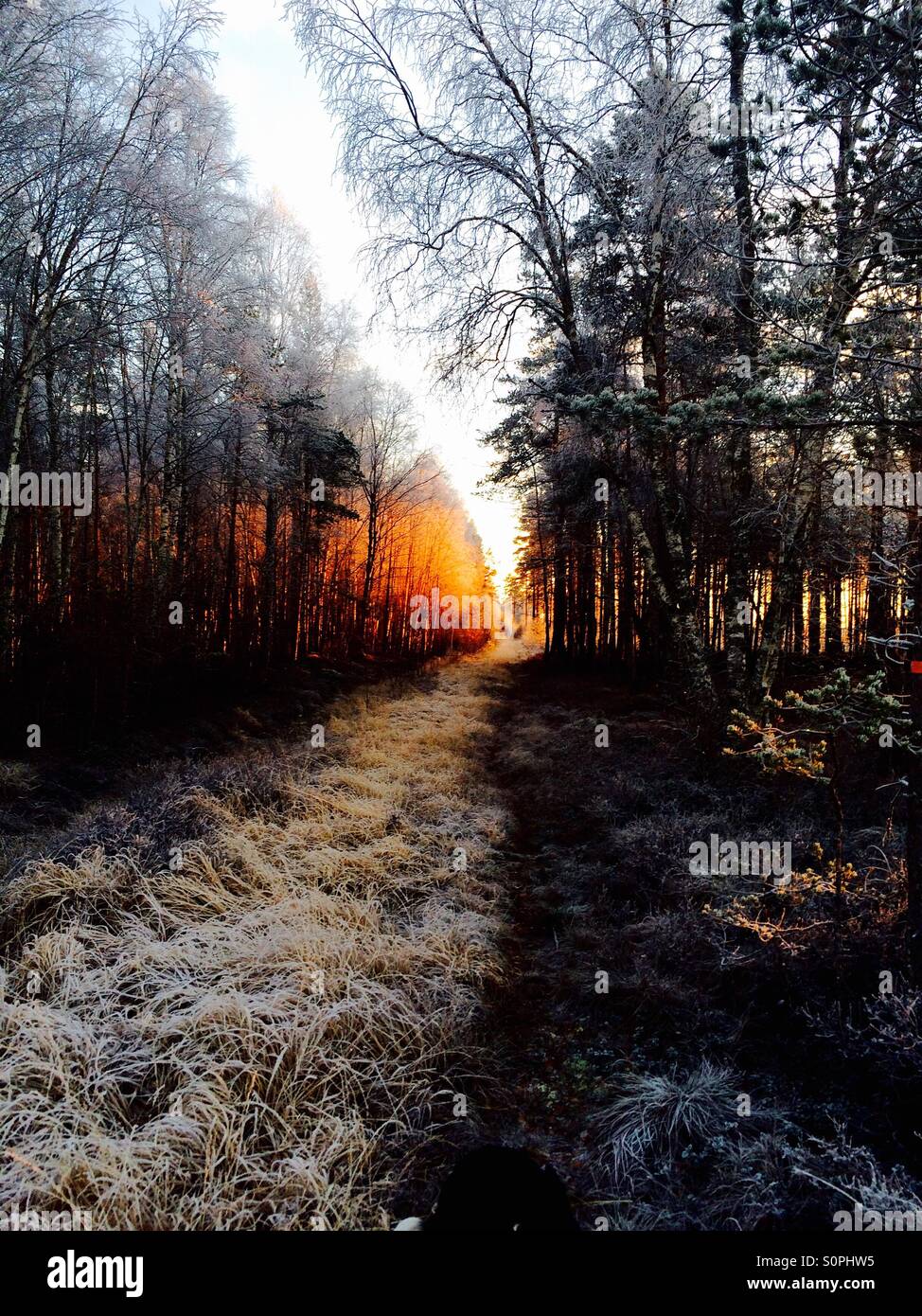 Cold sun hi-res stock photography and images - Alamy