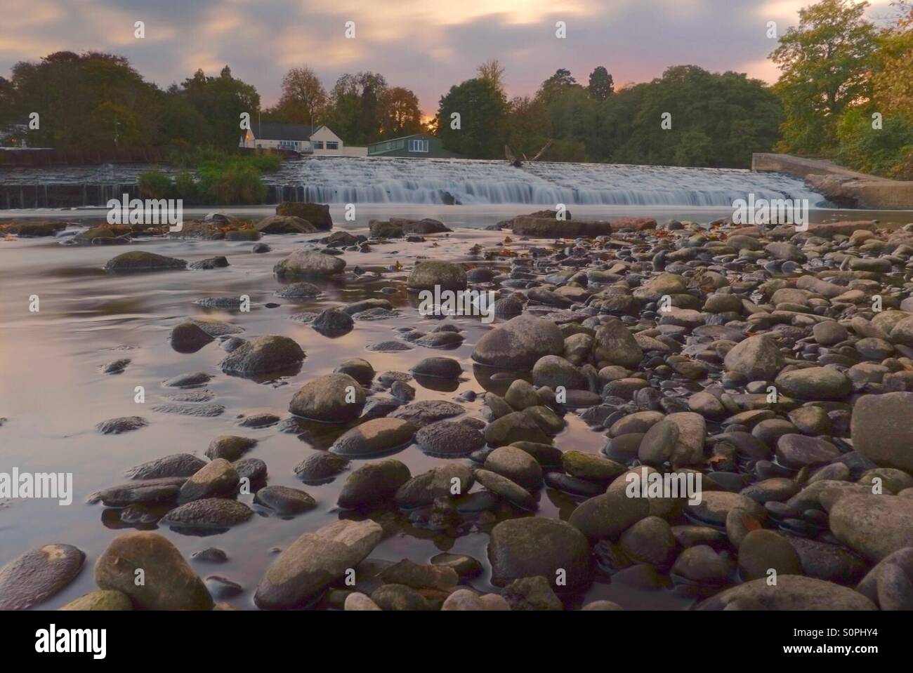 River taff rowing hi-res stock photography and images - Alamy