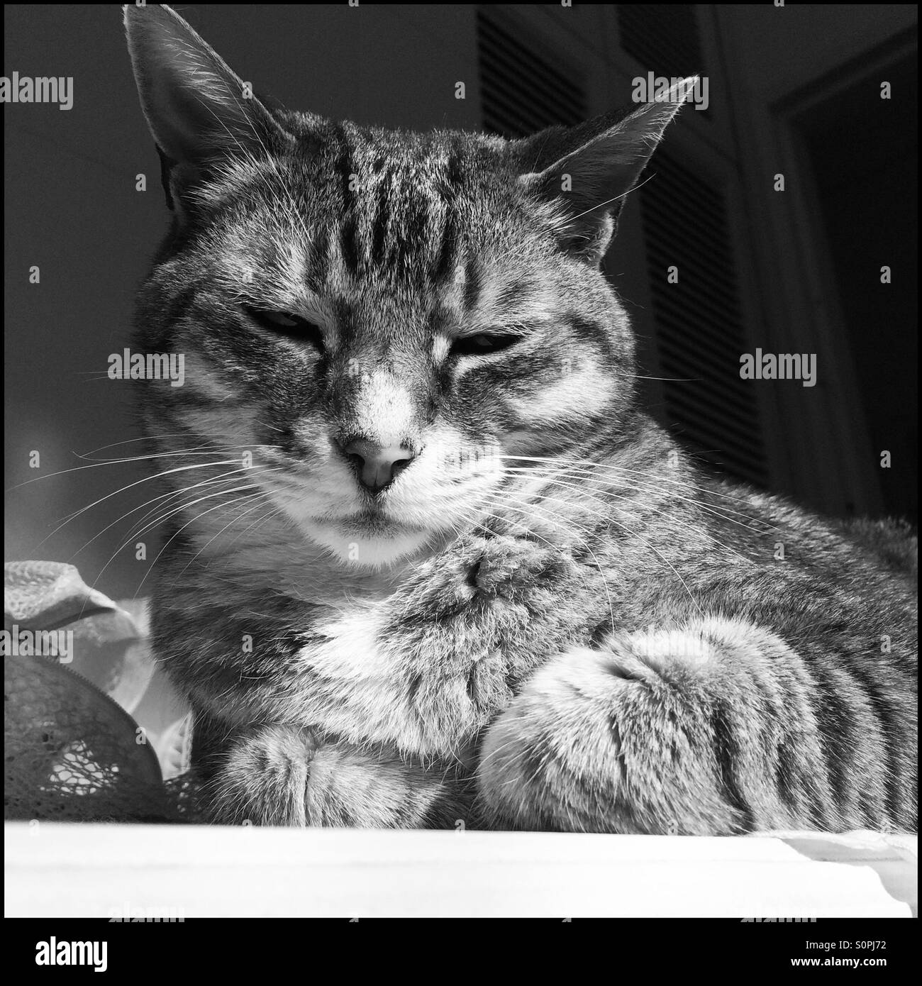 Napping spot hi-res stock photography and images - Alamy