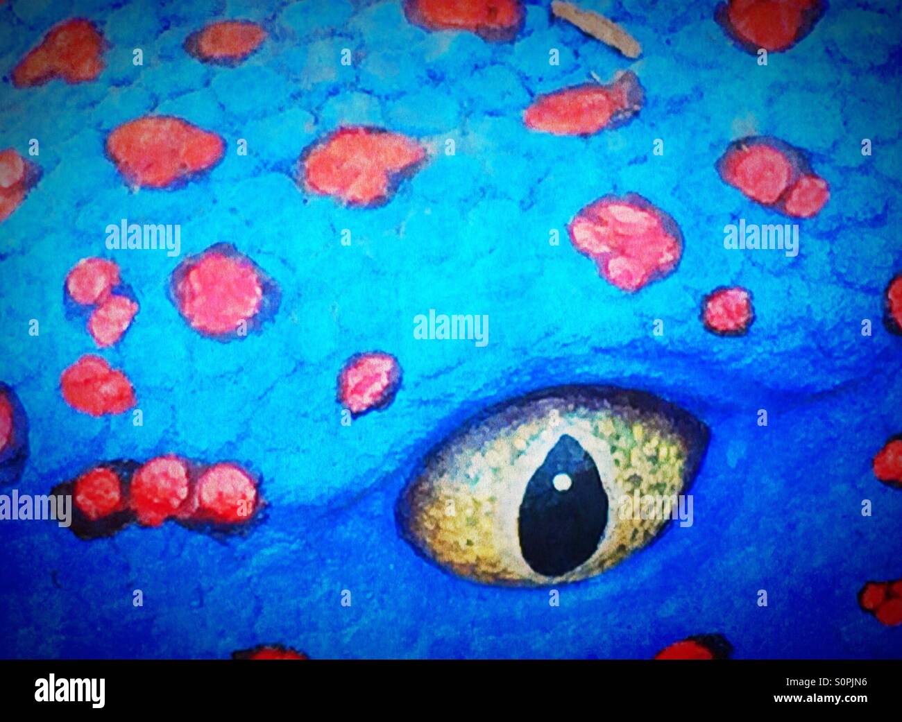 Blue lizard hi-res stock photography and images - Alamy