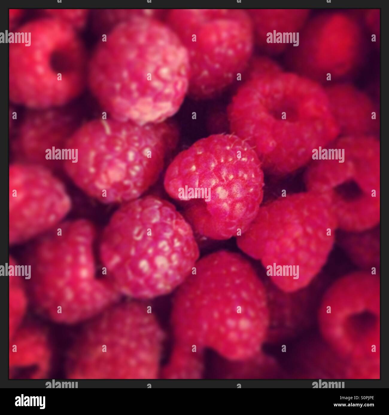 Beautiful and succulent fresh red raspberries Stock Photo - Alamy